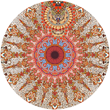 Buy Talitha Collection | Orange Top | Yoga Legging – CAMILLA