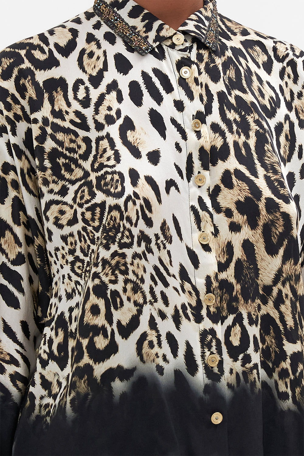 Curved Hem Shirt, Cool For Cats | CAMILLA AU – CAMILLA